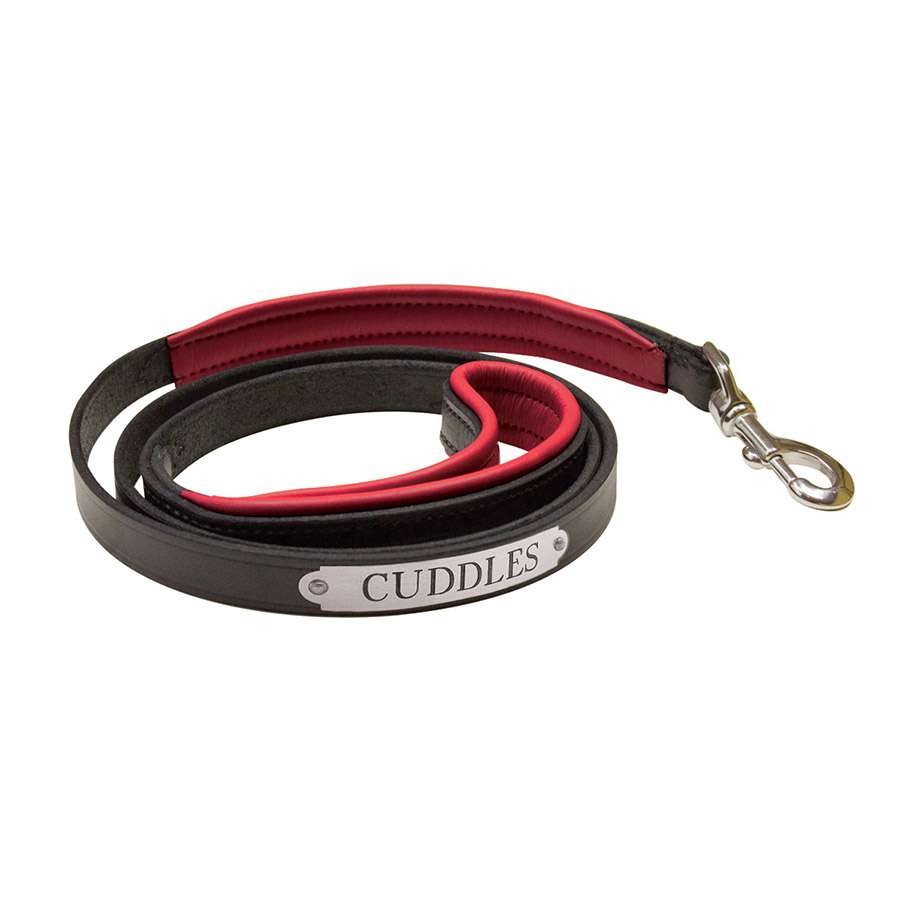 Engraved Perri’s Padded Leather Dog Leash - 21 Color options- USA Made ...